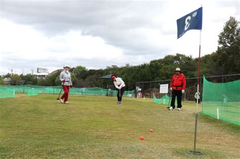 강남구 6월4일 시니어 대상 파크골프대회 개최 사회일반 사회 뉴스 서울and