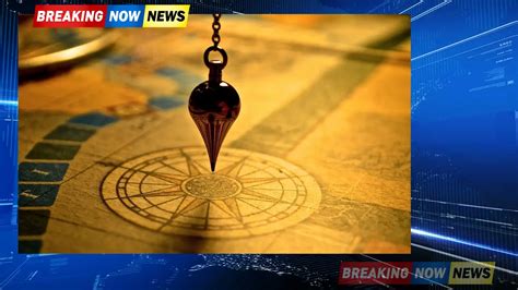 Unlocking Potential The Ultimate Guide To Enrichment Boxes For Your Curious Companion