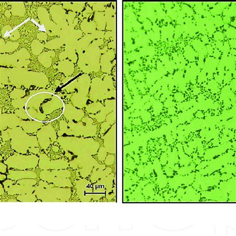 Optical Microstructure A Before And B After Solution Heat Treatment Download Scientific