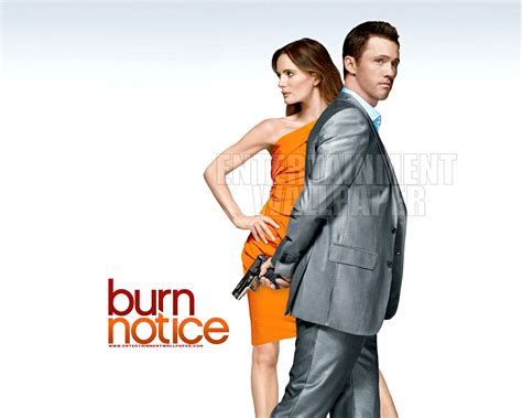Michael And Fiona Burn Notice
