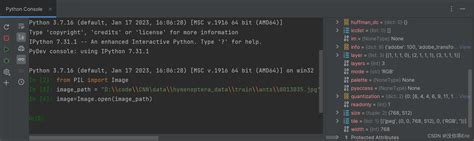 从零开始教你用Pytorch搭建CNN模型 pytorch cnn CSDN博客