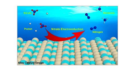 Activity And Selectivity Trends In Electrocatalytic Nitrate Reduction On Transition Metals Acs