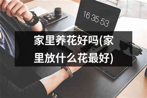 家里养花好吗 家里放什么花最好 养花经验