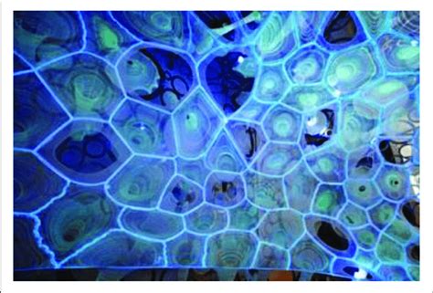 an image used by an expert to explore modularity download scientific diagram