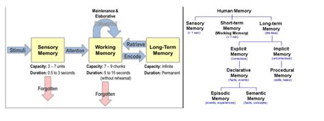 Psych Chapter 2 Section 3 Memory Diagram Quizlet