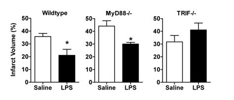 Lps Preconditioning Requires Tlr Signaling Through Trif To Promote