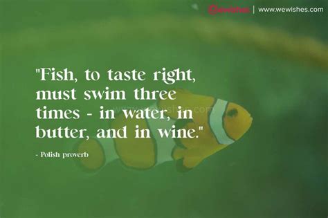 Exploring The Wonders Of The Sea Inspiring Fish Quotes We Wishes
