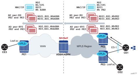 5 Ethernet Virtual Private Networks EVPNs