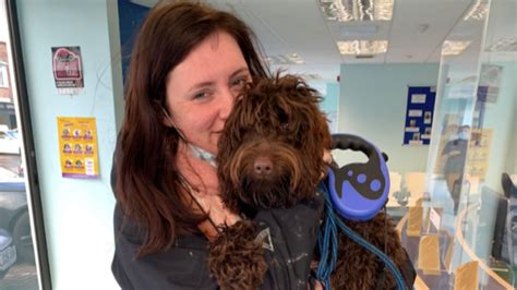 Cockapoo Puppy Paddington Reunited With Owner After Going Missing For 9