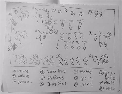 Garden Mapping Sara Mcguyer