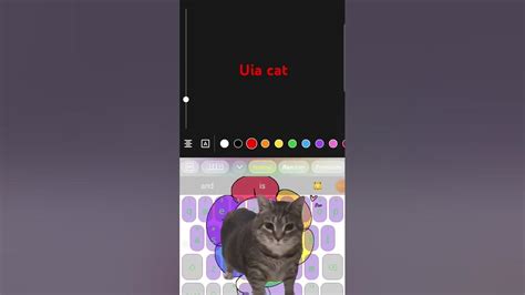 Uia Cat Youtube