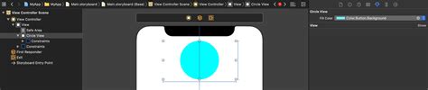 Swift Ib Designables Failed To Render And Update Auto Layout Status