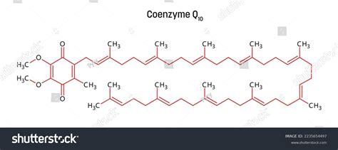 Coenzyme Q10 Molecular Structure Coenzyme Q10 Stock Vector Royalty