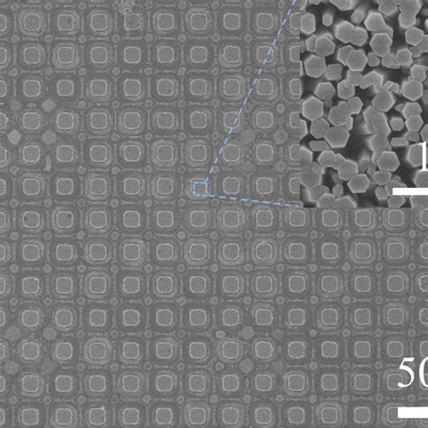 Top View Sem Image Of A Typical Zno Nanowire Array In Which The Zno