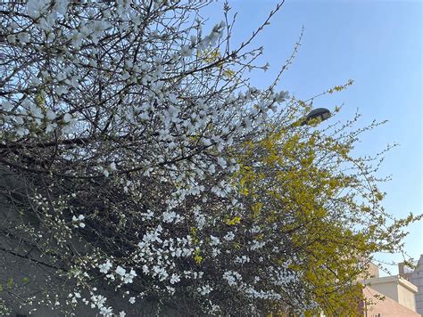 도서출판 빼앗긴 들에도 봄은 왔겠지요 쿵쿵쿵쿵 한밤중에 누군가 문을 부술 듯이 두드려요 비밀경찰이 우르르 들이닥쳐 자고 있던 사람을 체포해 가요 국가나 지도자에