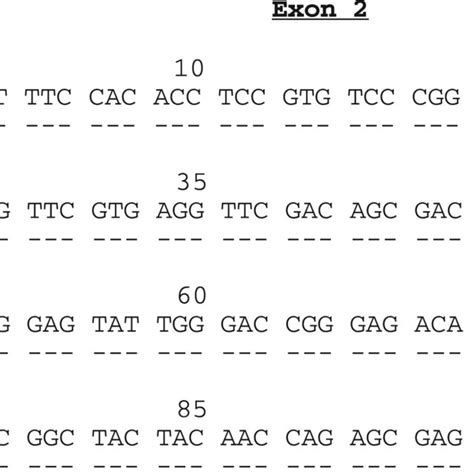 From Exon 2 To Exon 4 The Dna Sequence Of B400203 Is Identical To Download Scientific