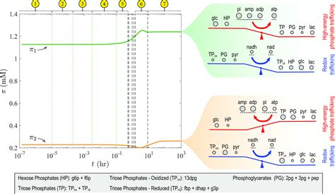 A Data Driven Approach For Timescale Decomposition Of Biochemical Reaction Networks Msystems