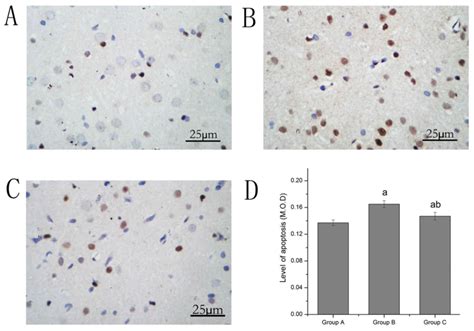 Extracellular Polymeric Substances
