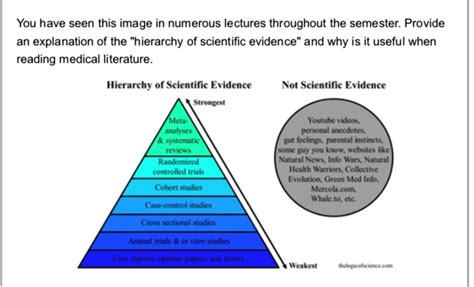 You Have Seen This Image In Numerous Lectures Throughout The Semester Provide An Explanation Of