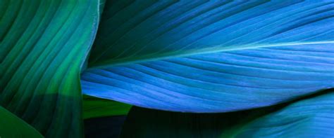 Open Session 18 Autonomous Networks Building Autonomy From