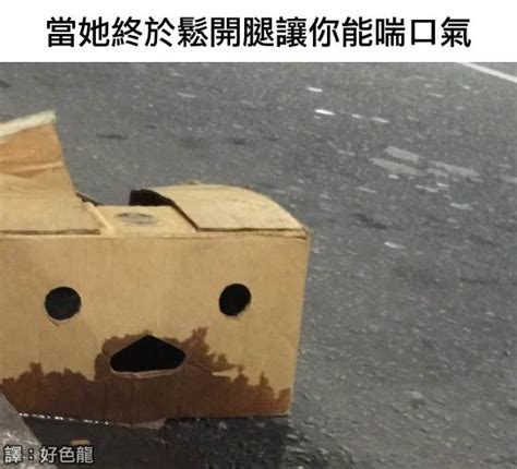 好色龍的網路生活觀察日誌 雜七雜八短篇漫畫翻譯1313