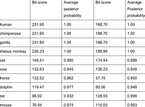 Alignment Score Of The Orthologous Sequences From Different Mammals To