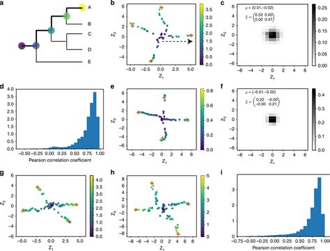 Latent Space Representation Of Sequences Captures Ancestral Download Scientific Diagram