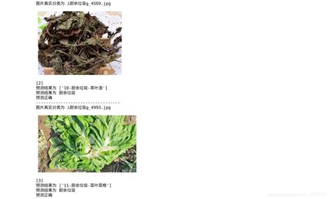 Python运用深度学习垃圾分类，acc达到98以上深度学习 Acc Csdn博客