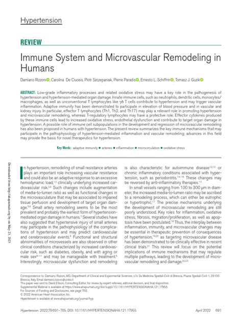 Immune System And Microvascular Remodeling In Hypertensionaha121