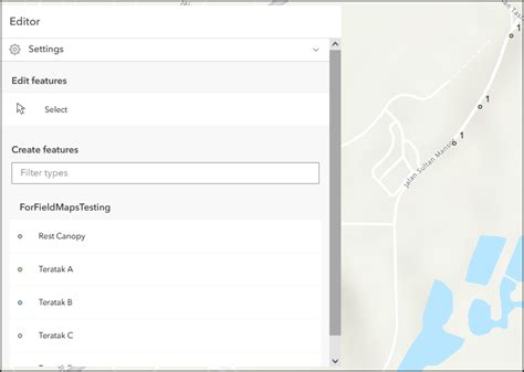 Problem The Editor Widget Is Empty In Arcgis Experience Builder