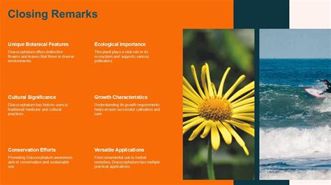 Closing Remarks Dracocephalum PPT Sample ST AI SS PPT PowerPoint