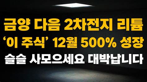 주식 금양 다음 2차전지 리튬 이 주식 12월 500 성장 슬슬 사모으세요 대박납니다 2차전지관련주 2차전지주식전망