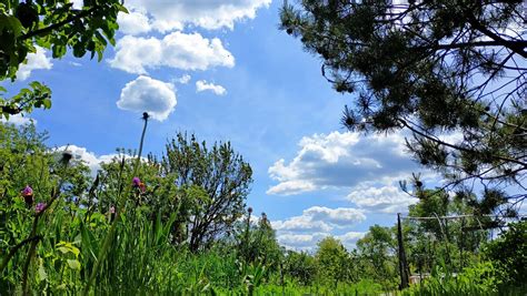 Что Вы увидели на этом фото Гуля Куценко Социальная сеть ФотоКто