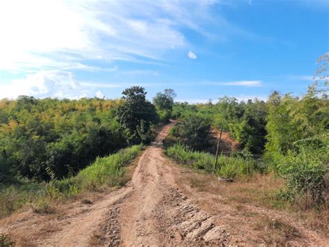 မင်းတုန်းမြို့နယ်တွင် မြို့နယ်ချင်းဆက်လမ်း ခင်းနိုင်ရန် ကွင်းဆင်းစစ်ဆေး Information And Public