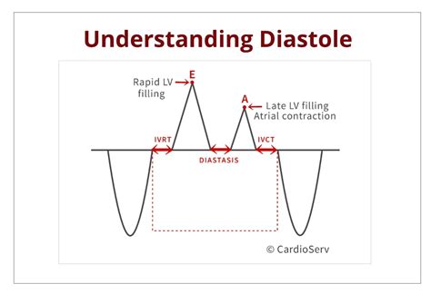 Understanding Diastole Cardioserv