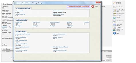 View Credit History Real Time In Sage Crm Using Gumu Sage Crm Tips Tricks And Components