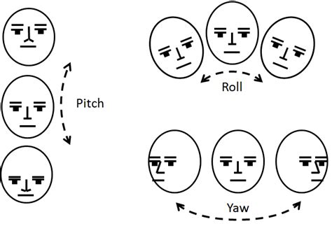 Real Time Face Pose Estimation With Deep Learning Analytics Vidhya