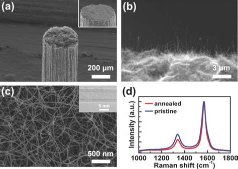 A Sem Image Of The Cnt Field Emitter Fabricated On The Graphite Rod Download Scientific