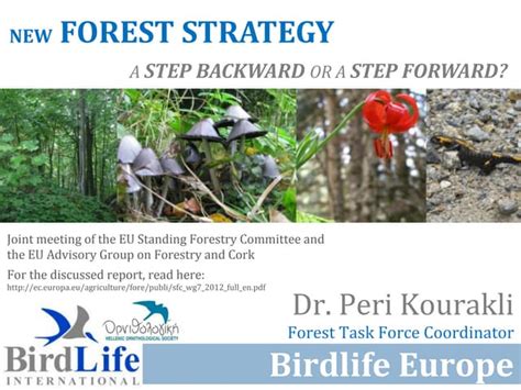 New Forest Strategy Ppt