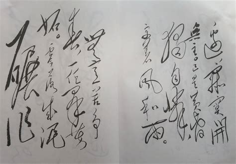 毛泽东卜算子 咏梅是写给谁的 郭沫若