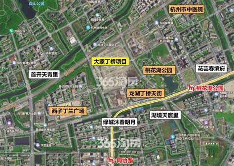 大家丁桥105号地块鸟瞰图杭州大家桃境满元里杭州新房网365淘房