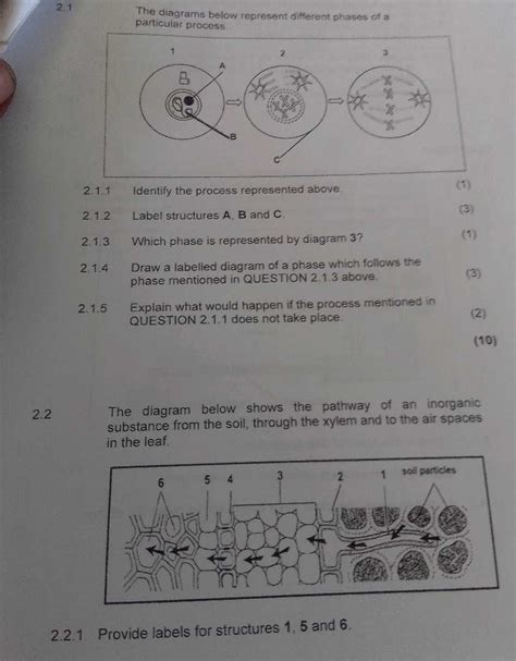 21 The Diagrams Below Represent Different StudyX