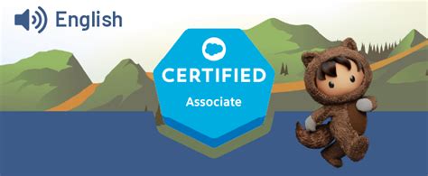 Best Salesforce Training Institute In Hyderabad And Bangalore Aceaim