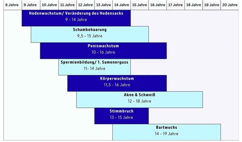 Pubertät Bei Jungen Phasen Fakten Und Tipps Für Den Familienalltag