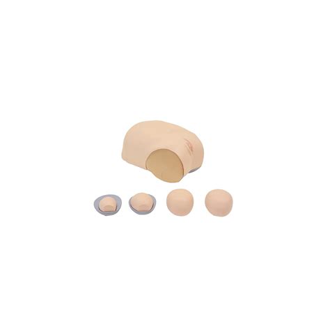 Uterine Involution Assessment Kyoto Kagaku Mw38 11418 000 R16190