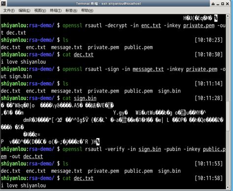 RSA算法加解密实验 蓝桥云课