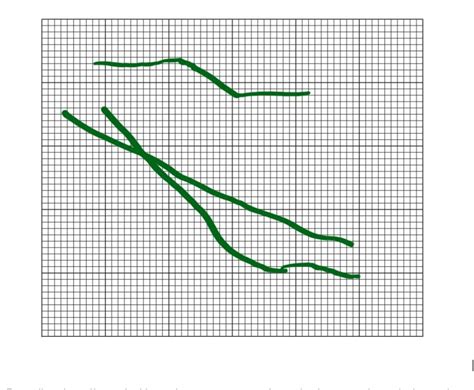 Biology Paper 6 0610 R Igcse
