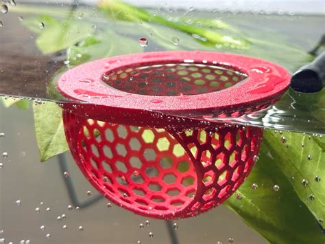 Floating Aquarium Hide By Kit Katmakerworld Download Free 3d Models