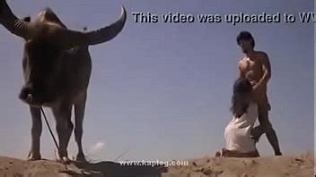 Buffalo Sex Com Porn Videos Letmejerk