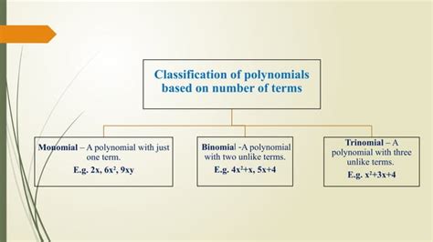 Mathematics Polynomials And Is Different Types Ppt